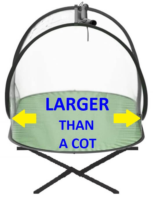 Pop up Camping Tent on a Cot: Perfect Fit or Go Larger?